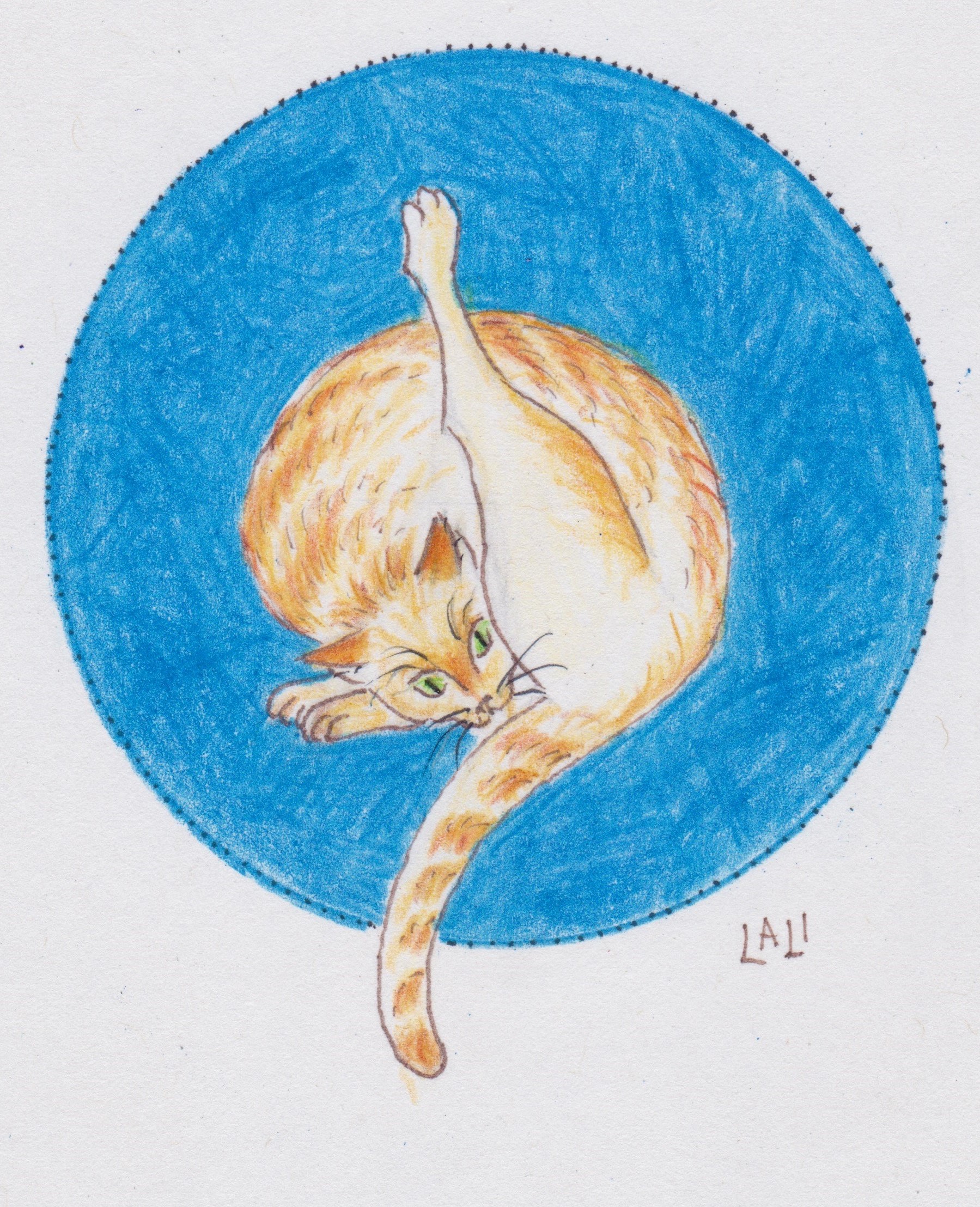 The Childless Cat Ladies' Reply to J.D. Vance - My Green Vermont