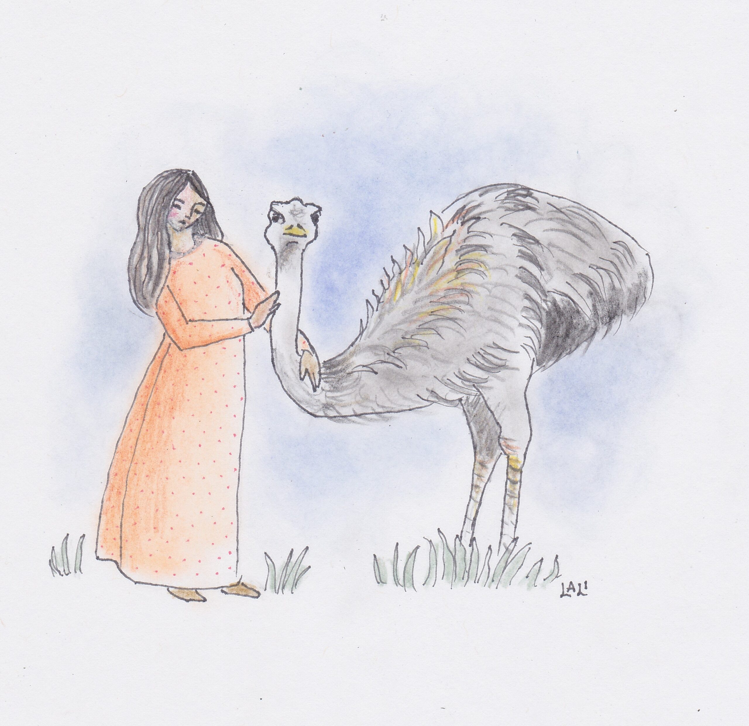 The Ostrich and the Owl - My Green Vermont